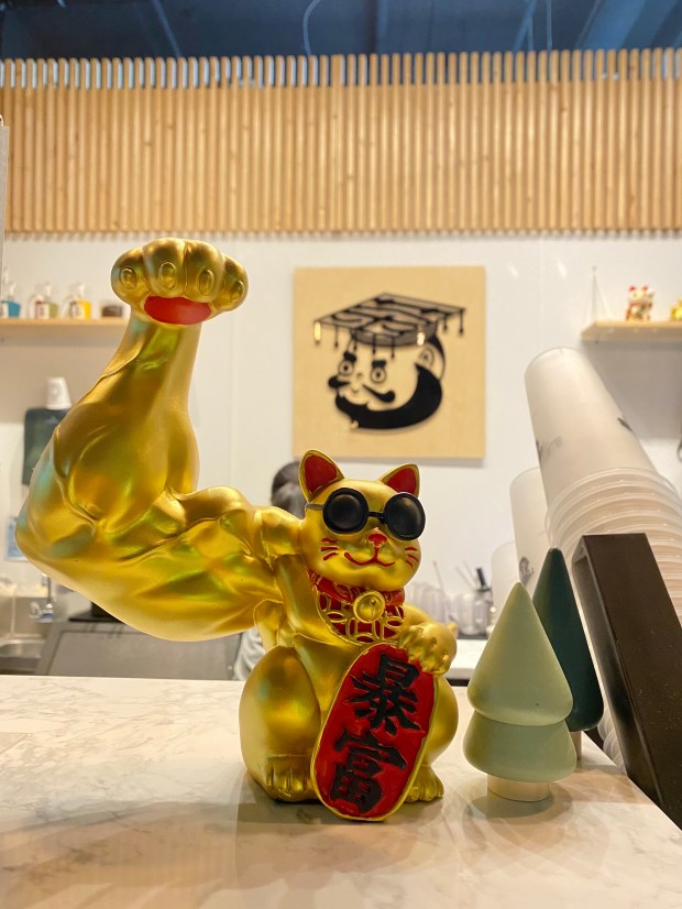 The 12 Best Bubble Tea Shops in Seattle | Automation Panda